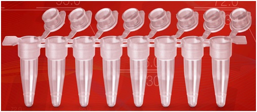 EasyStrip™ Plus Tube Strip with Attached Flat Caps - Springhill ...